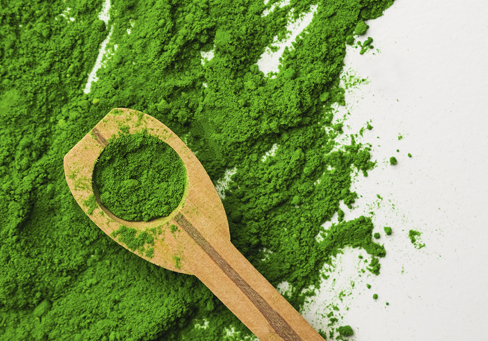 ¿Por qué el Matcha es una yerba poderosa? | EcotiendaNatural.cl